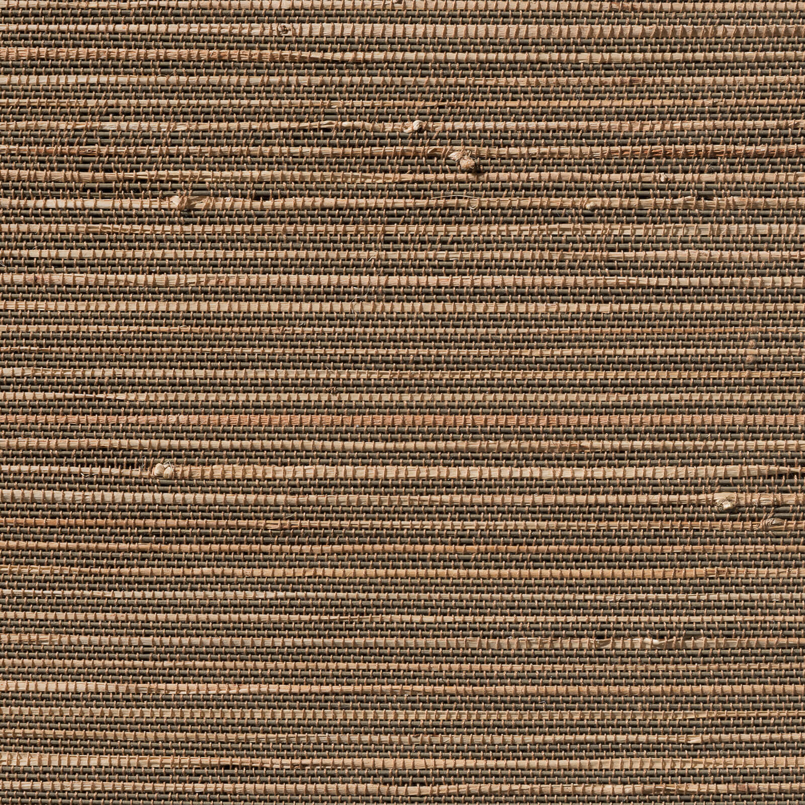 Fabrics BF24 - Caneplexus